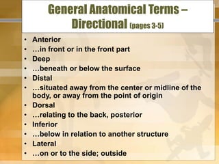 intro-terms.ppt