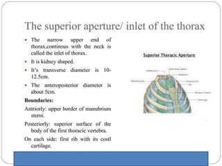 Introduction of- thorax Anatomy- Sonika.pptx
