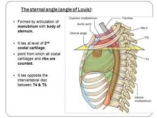 Introduction of- thorax Anatomy- Sonika.pptx