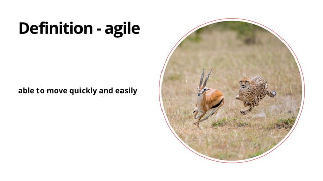 Intro-to-Agile-Methodologies.pdf