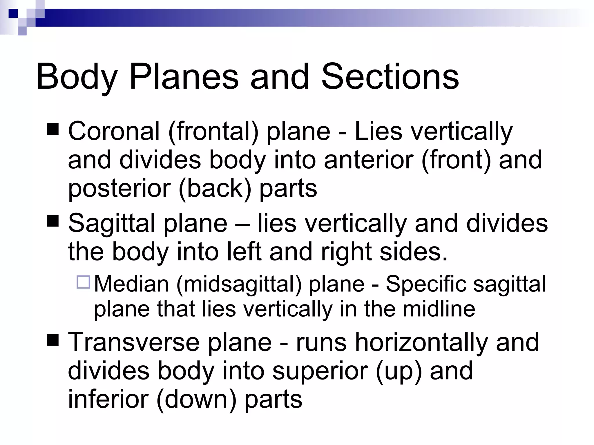 Intro To Anatomy Powerpoint | PPT