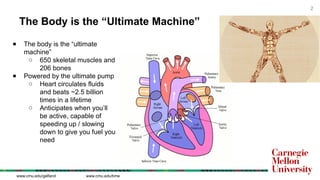 Introduction to biomedical engineering concepts | PPTX