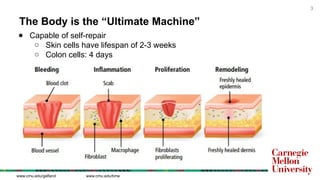 Introduction to biomedical engineering concepts | PPTX