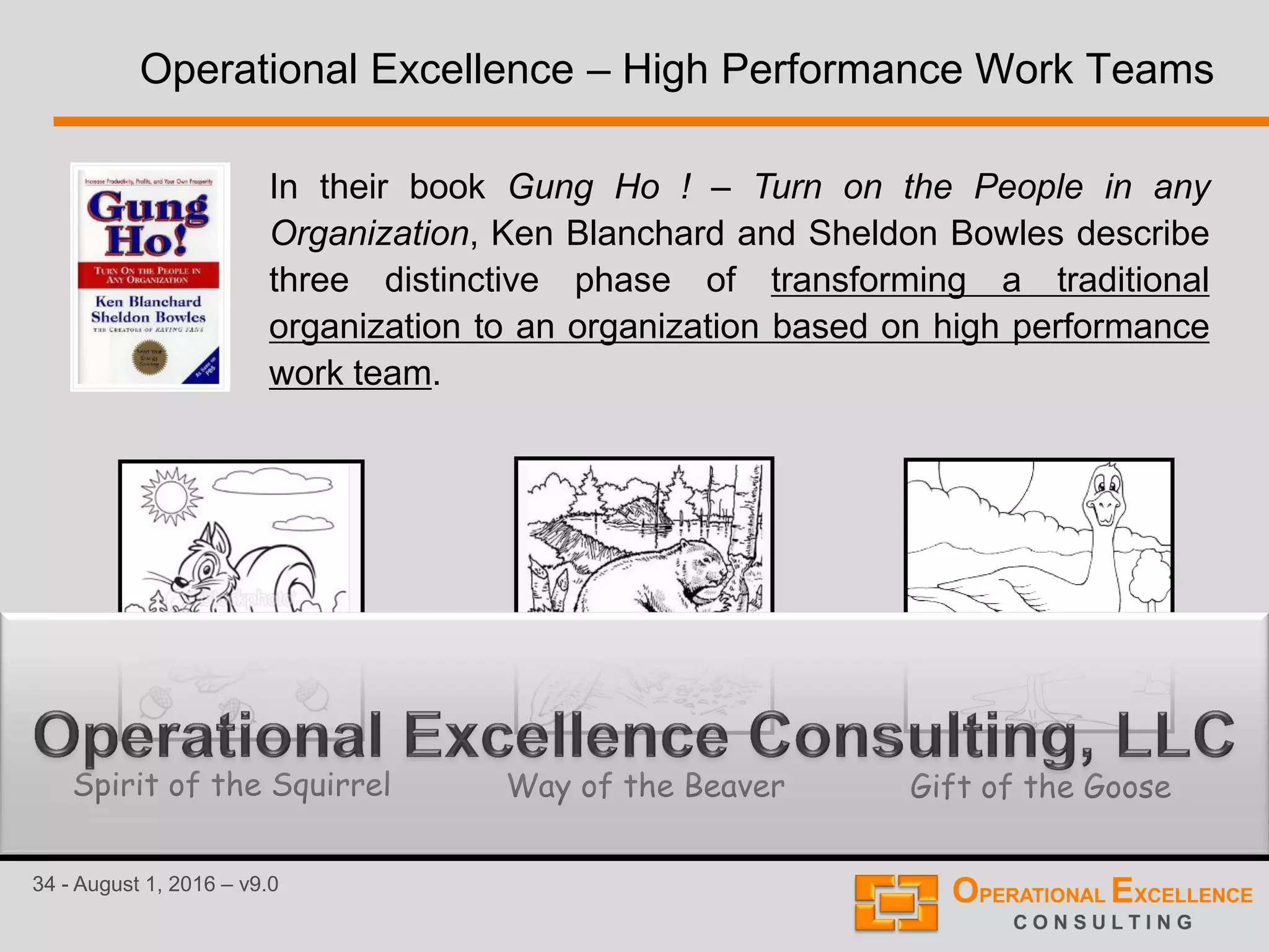 How to achieve Operational Excellence? | PDF