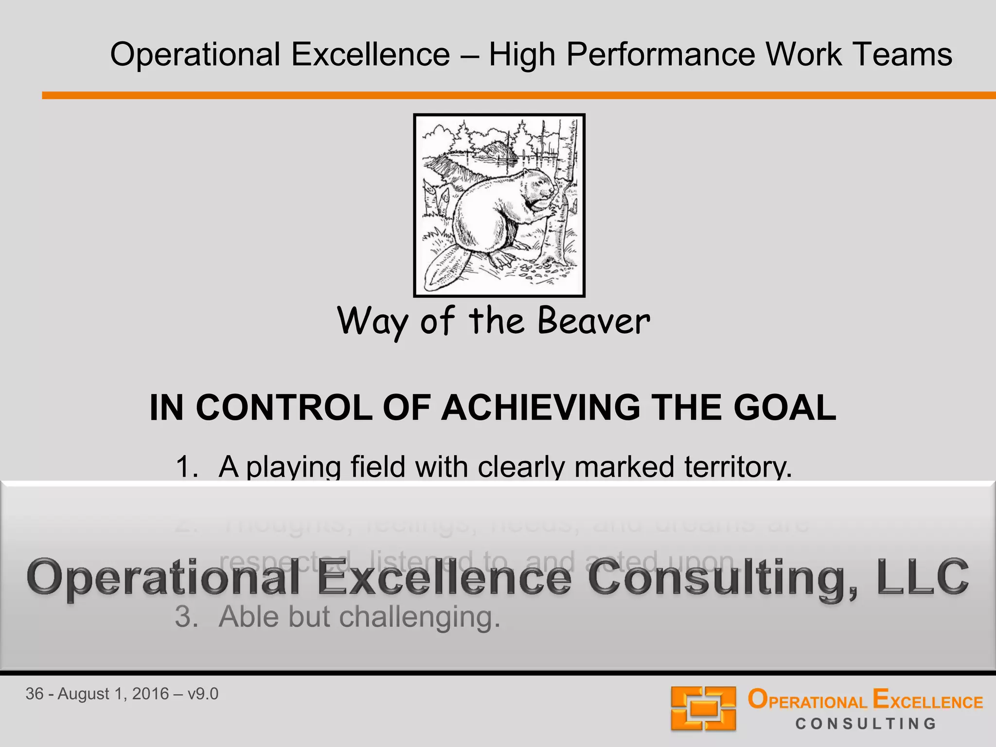 How to achieve Operational Excellence? | PDF