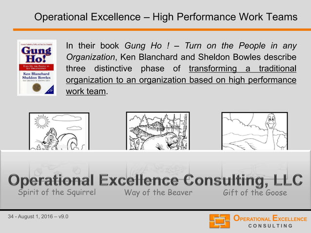How to achieve Operational Excellence? | PDF