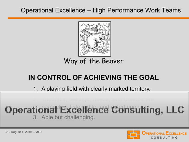 How to achieve Operational Excellence? | PDF