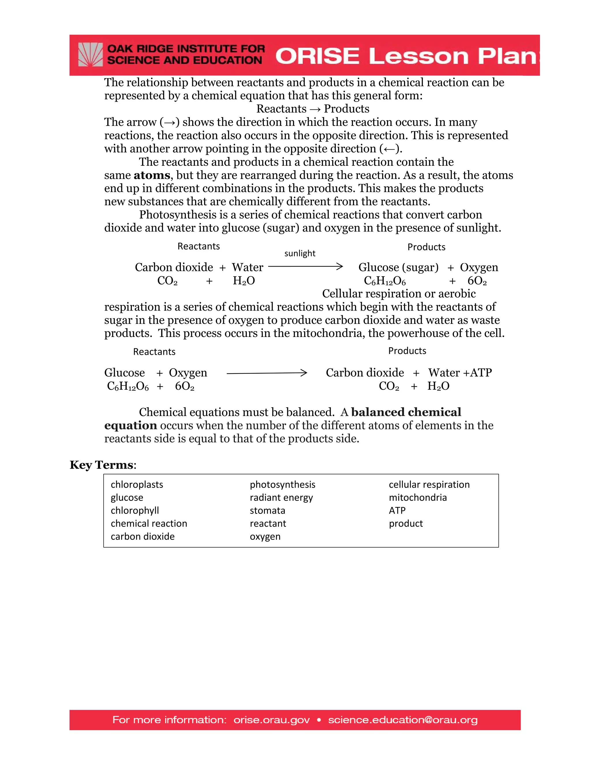 intro-to-photosynthesis.pdf