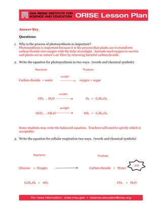 intro-to-photosynthesis.pdf