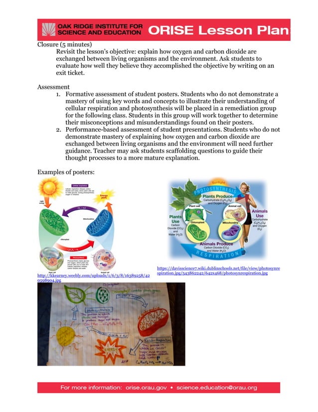 intro-to-photosynthesis.pdf