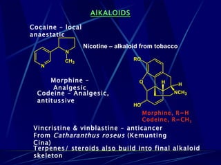 Phytochemicals | PPT