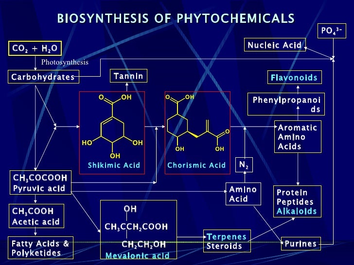 Phytochemical Families Charts