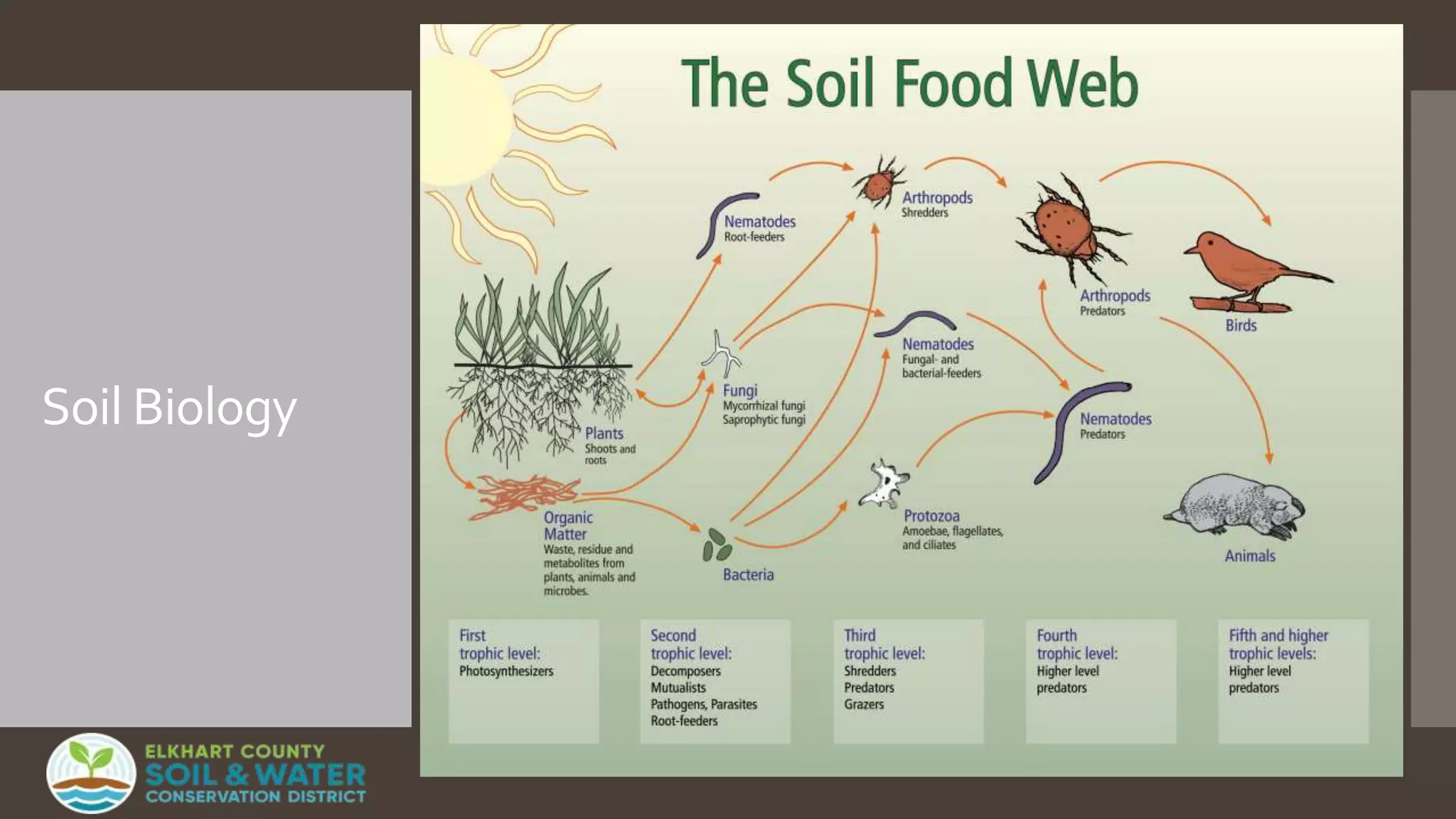 Intro-to-Soils.pptx