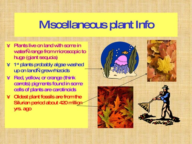 Intro. to plants ppt ch.10