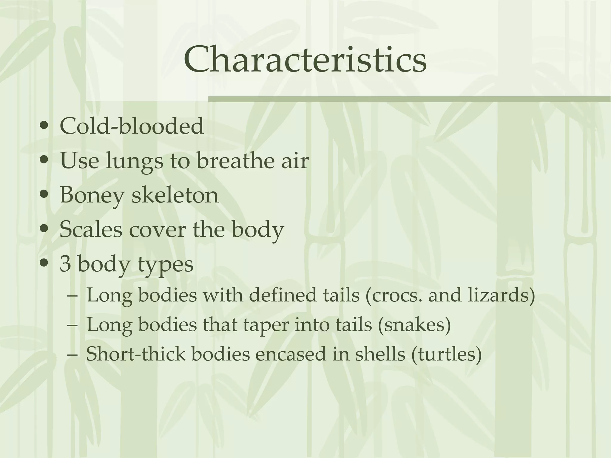 Introduction. to reptiles | PPT