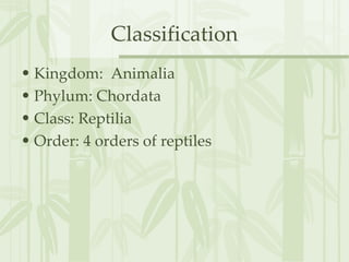 Introduction. to reptiles | PPT