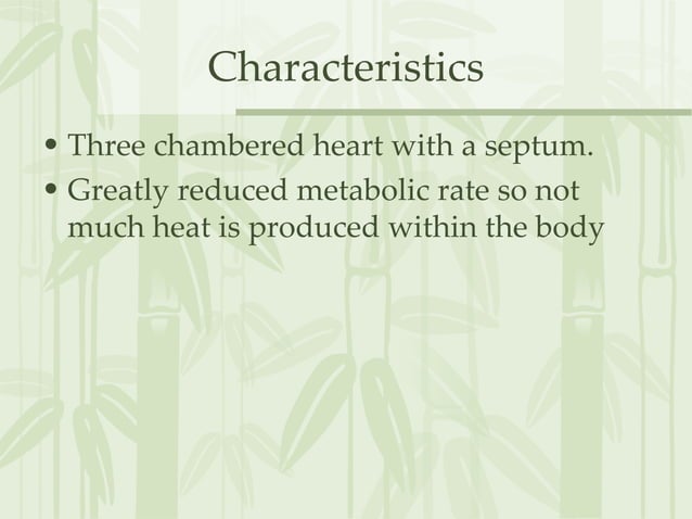 Introduction. to reptiles | PPT