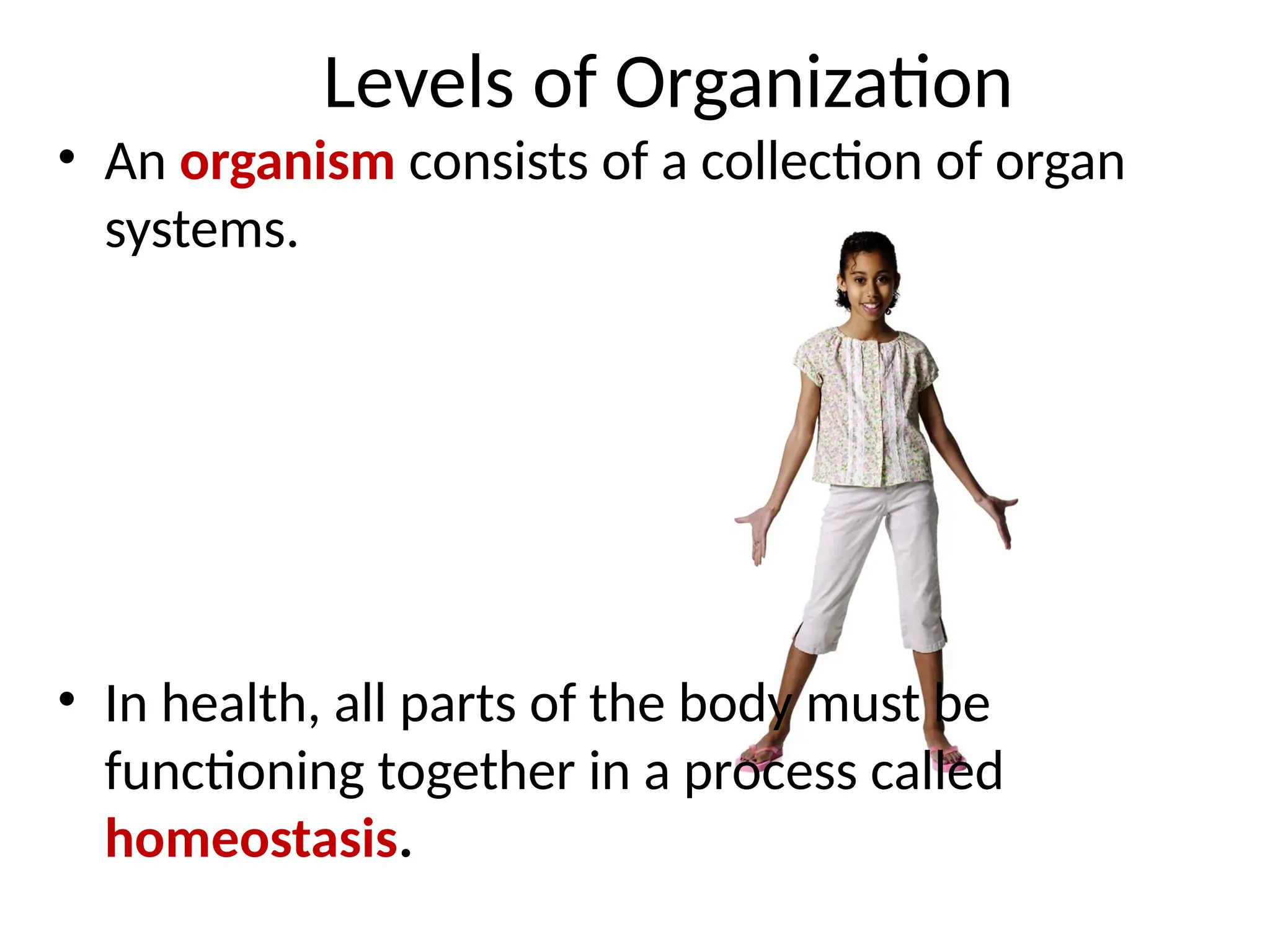 Introduction to Anatomy and Physiology.pptx
