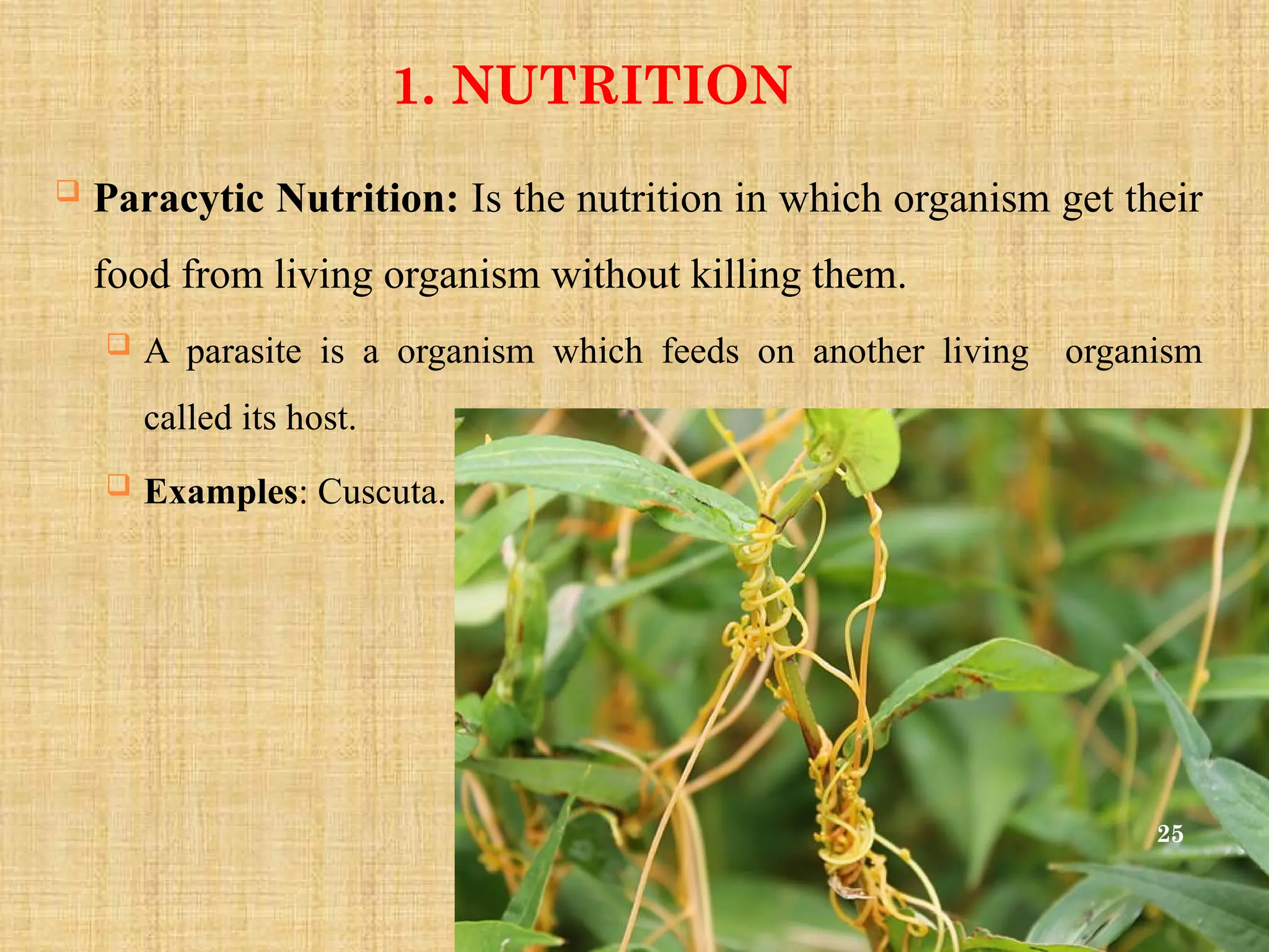 Introduction to Anatomy and Physiology.pptx