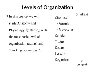 Introduction to Anatomy and Physiology.pptx