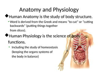Introduction to Anatomy and Physiology.pptx