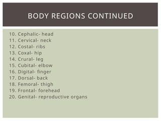 Introduction to Anatomy and Physiology.pptx