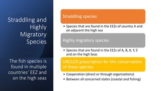 Intro_2_IFL.pptx | Fishing Sports | Sports