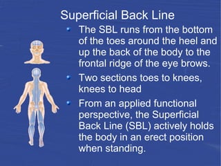Introduction to SA&TT (Sthructural Analysis) | PPT