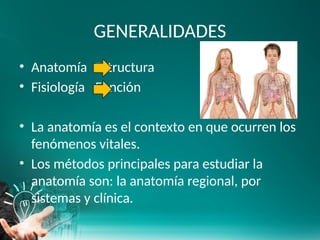 INTRODUCCIÓN A LA ANATOMIA PRIMER MODULO | PPTX