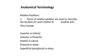 Introduction to Anatomy and Physiology . | PPTX