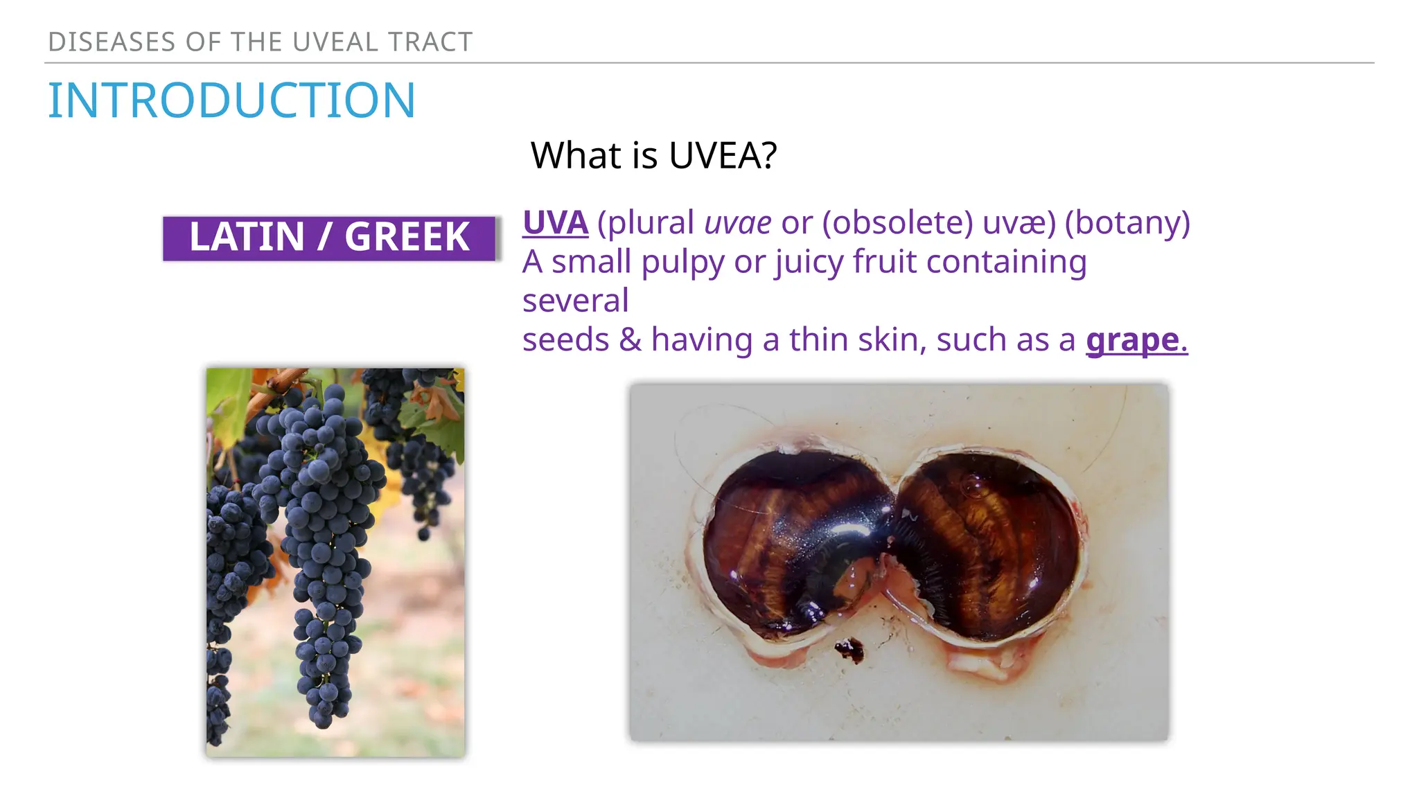 Intro and classification Intro and classification | PPT