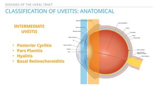 Intro and classification Intro and classification | PPTX