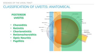 Intro and classification Intro and classification | PPTX