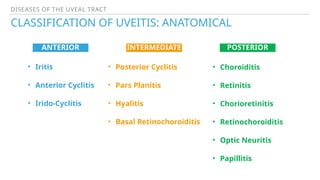 Intro and classification Intro and classification | PPTX