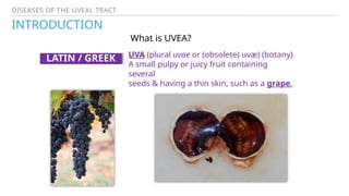 Intro and classification Intro and classification | PPTX