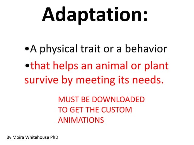 Adaptations Help Living Things Survive | PPT