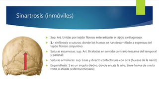 Introducción a articulaciones | PPT