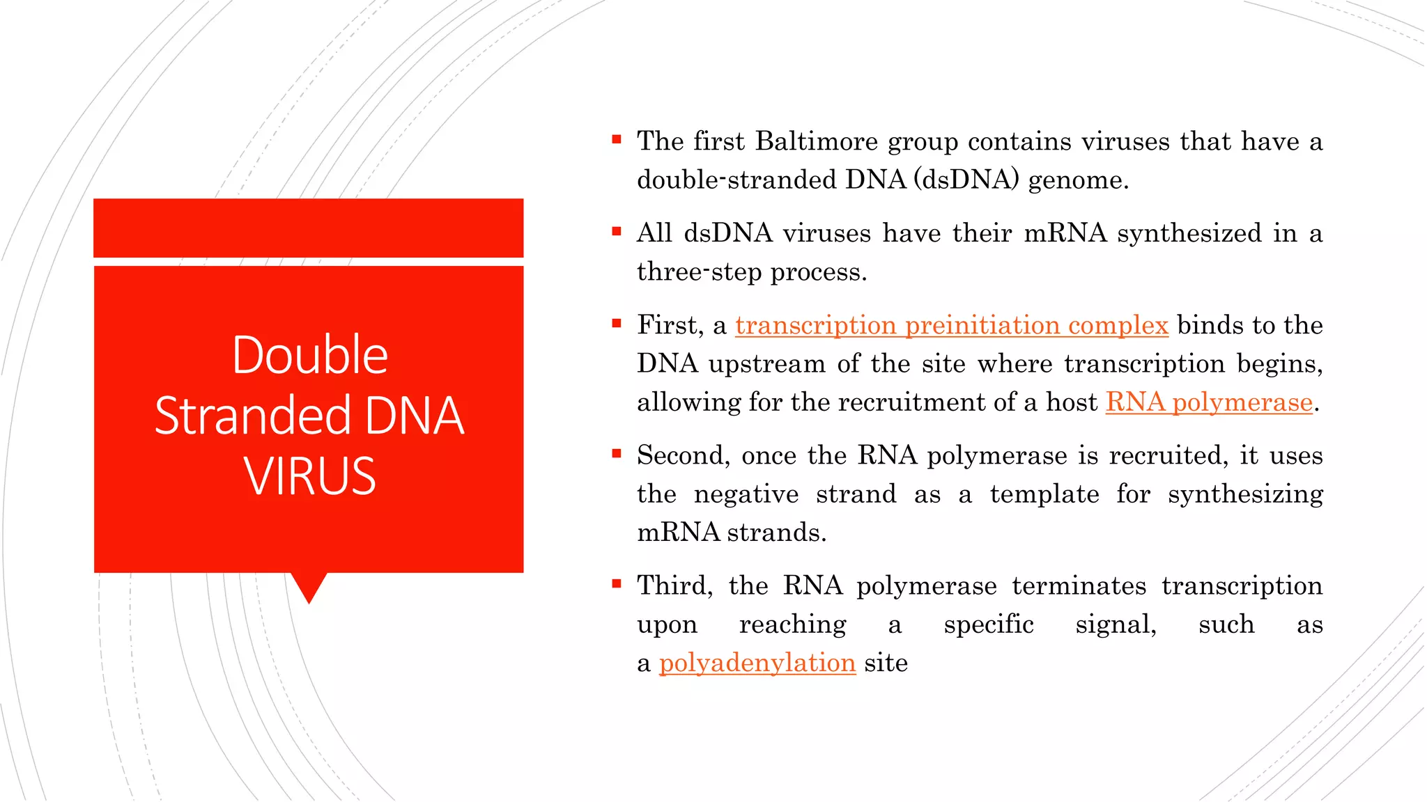 Intro + baltimore classification | PPTX