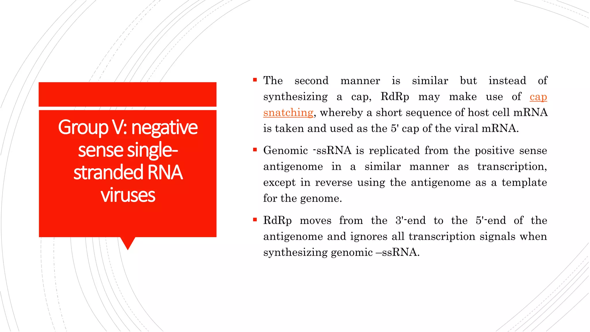 Intro + baltimore classification | PPTX