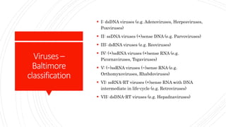 Intro + baltimore classification | PPT