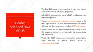 Intro + baltimore classification | PPTX