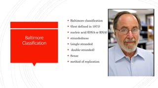 Intro + baltimore classification | PPT