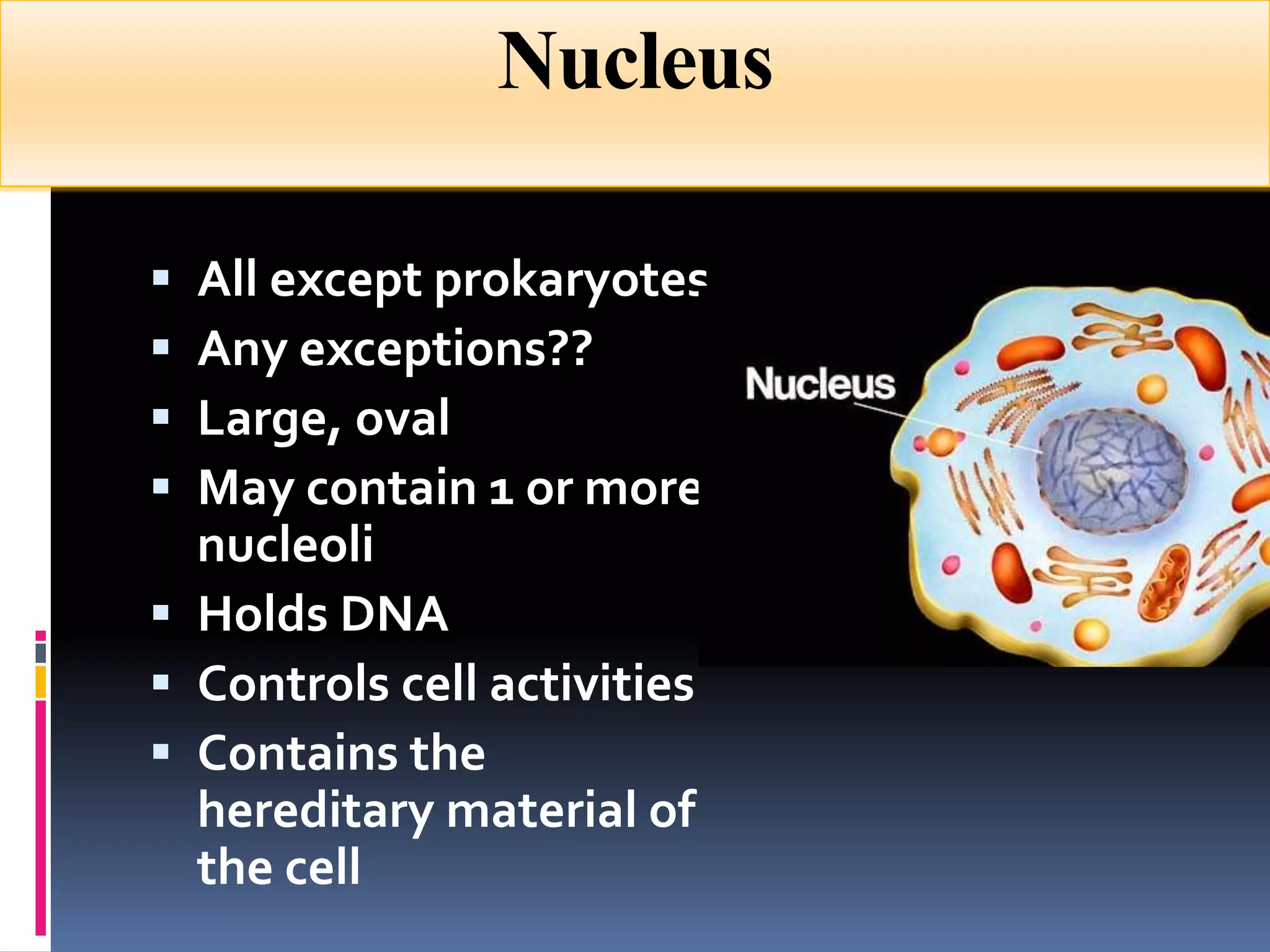Introduction to Biochemistry, cell and cell organelles | PPTX