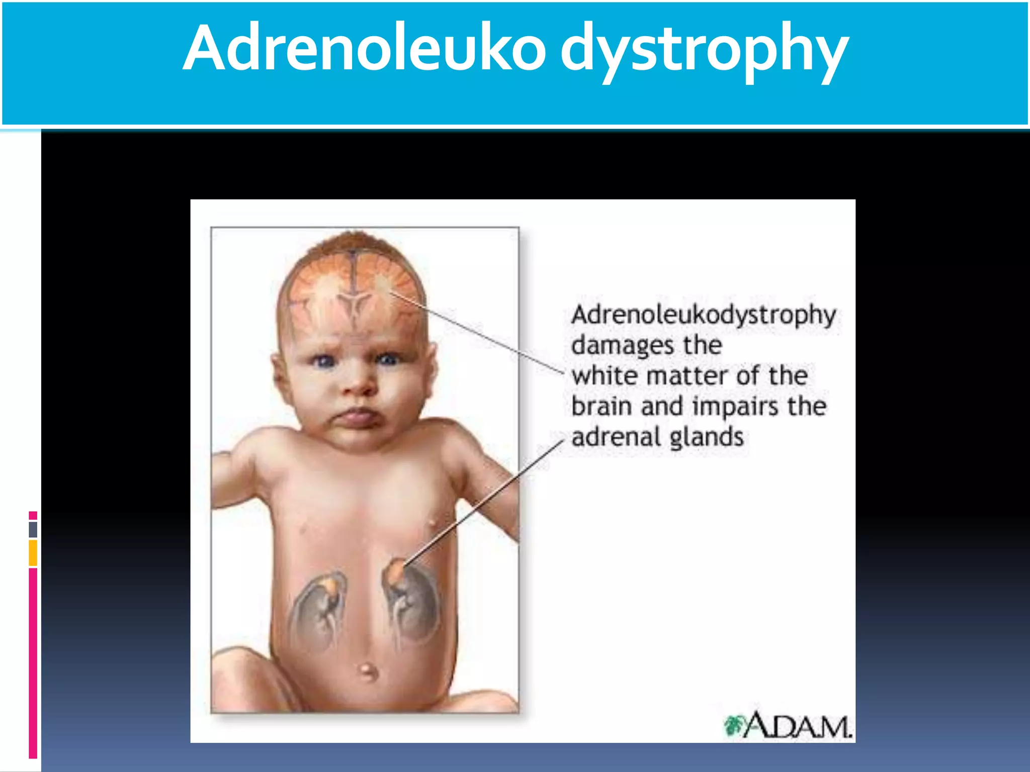 Introduction to Biochemistry, cell and cell organelles | PPTX