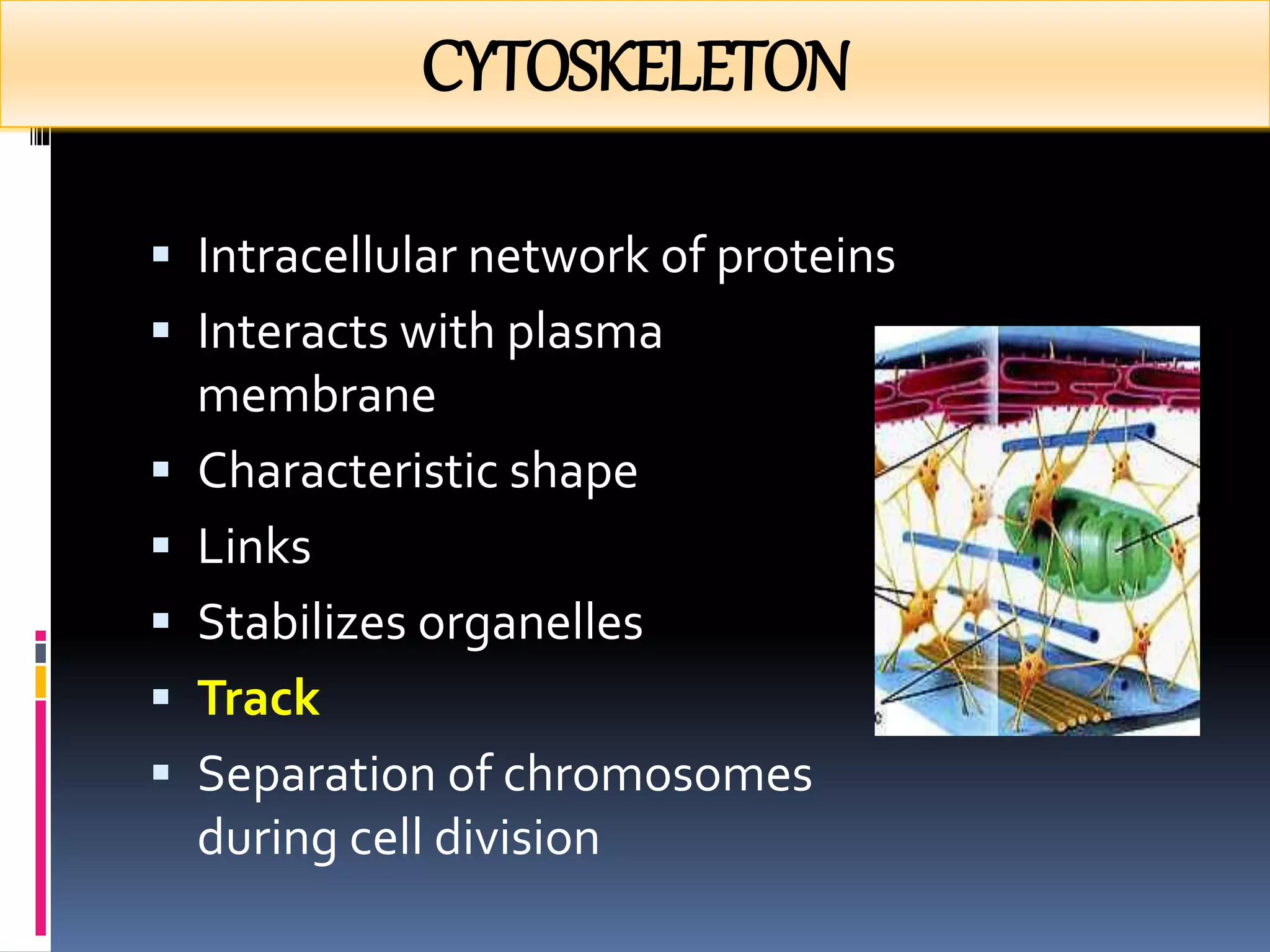 Introduction to Biochemistry, cell and cell organelles | PPTX