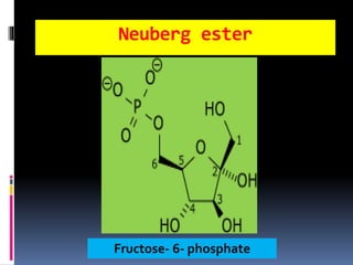 Introduction to Biochemistry, cell and cell organelles | PPTX