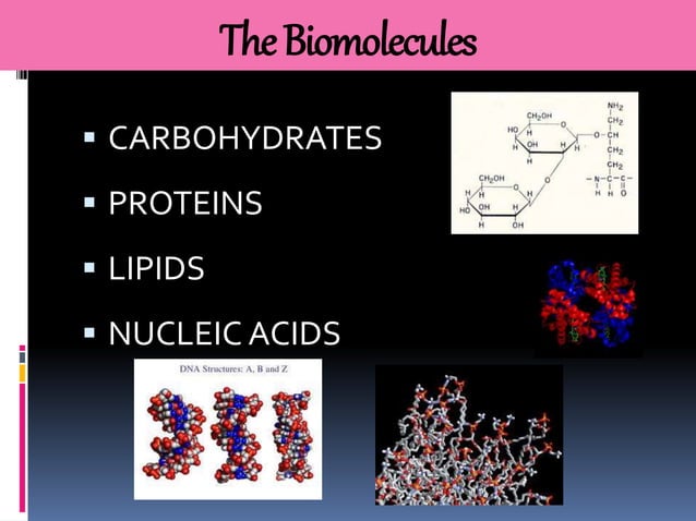 Introduction to Biochemistry, cell and cell organelles | PPTX