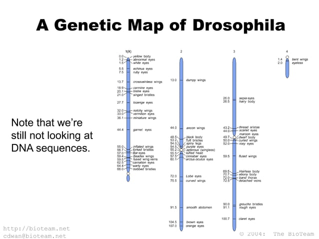 Intro bioinformatics | PPT