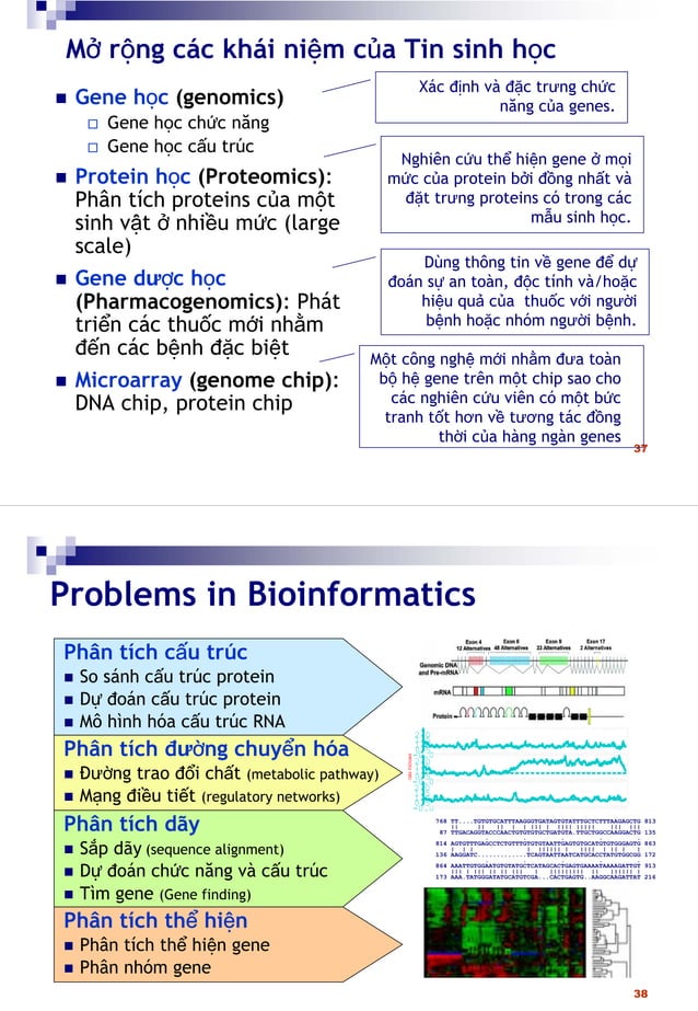 Intro bioinformaticsv | PDF
