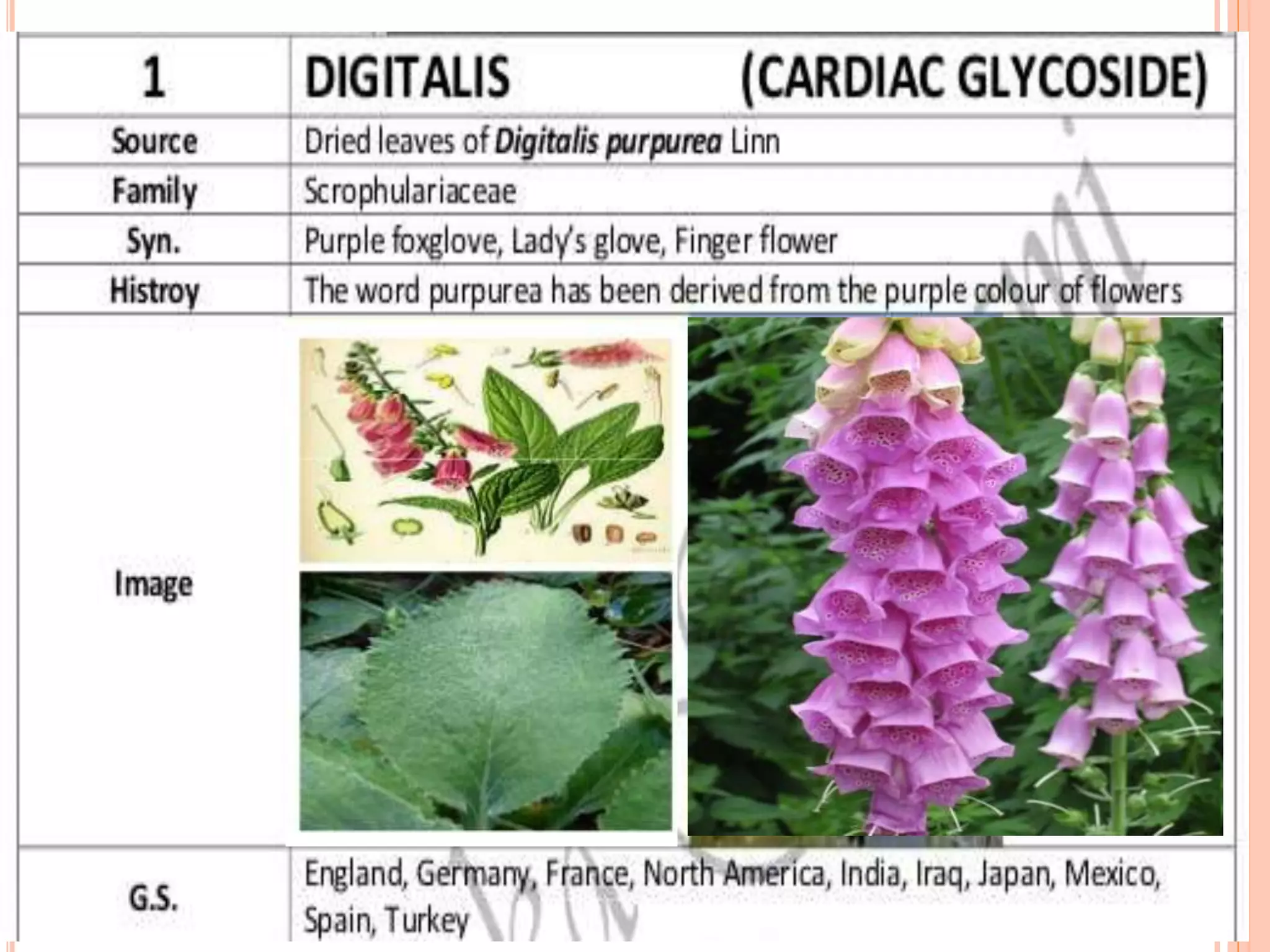 Intro And Cardiac Glycosides By Pooja Ppt